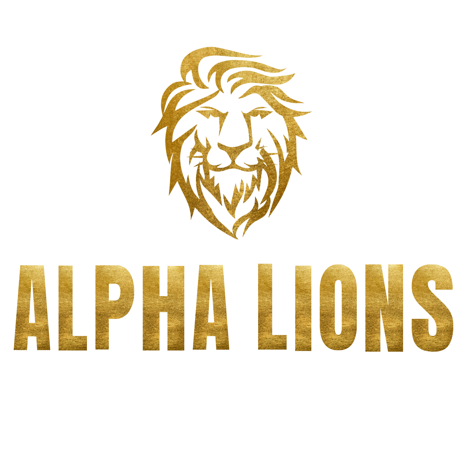 Alpha Lions - Samen Bouwen aan je Winstgevende Webshop